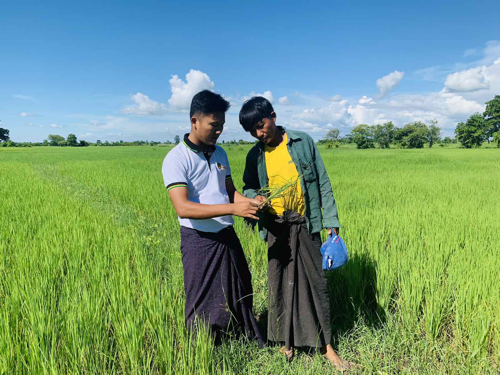 Our Service - Nawarat Myay Company Limited