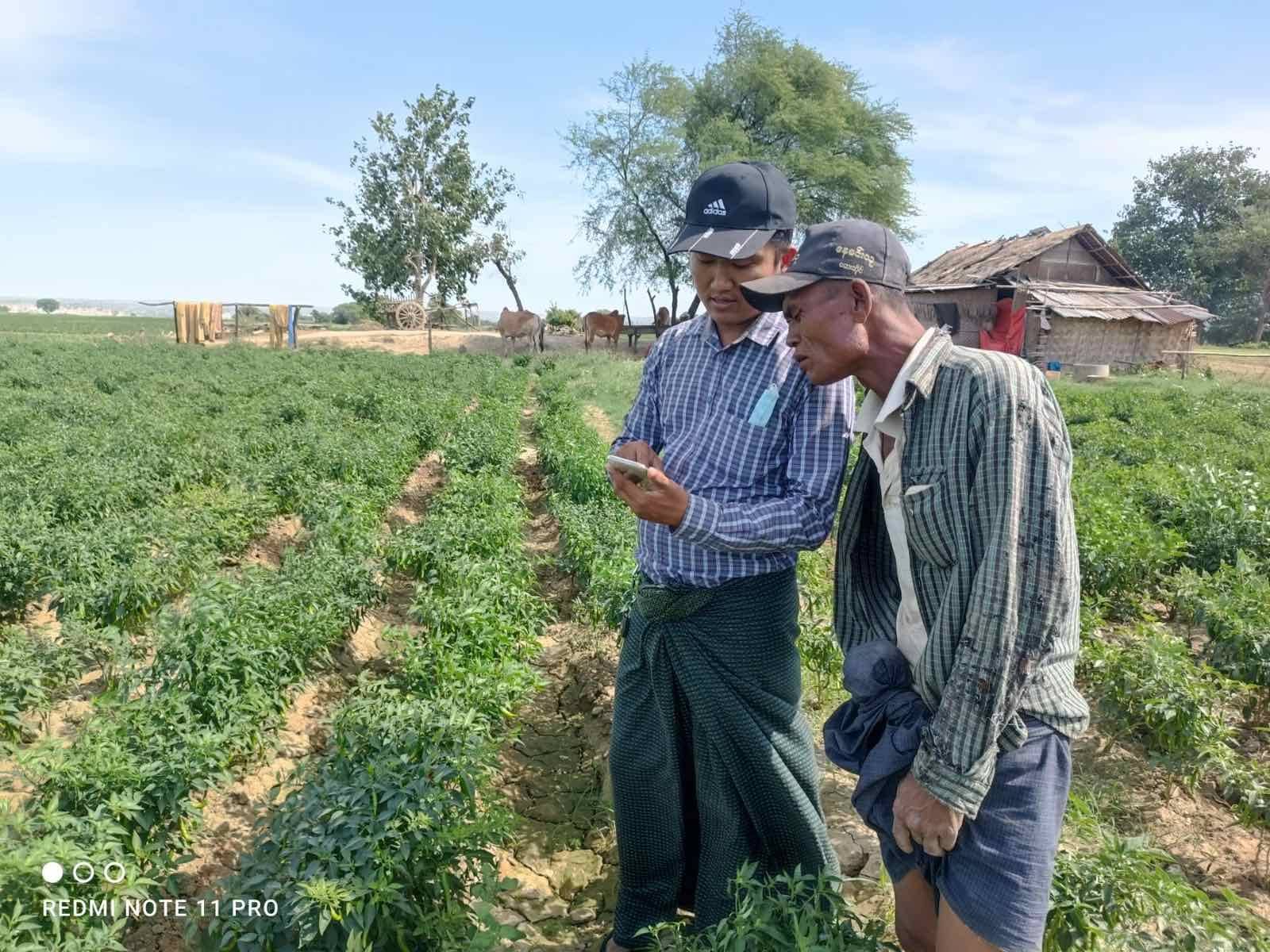 Our Service - Nawarat Myay Company Limited