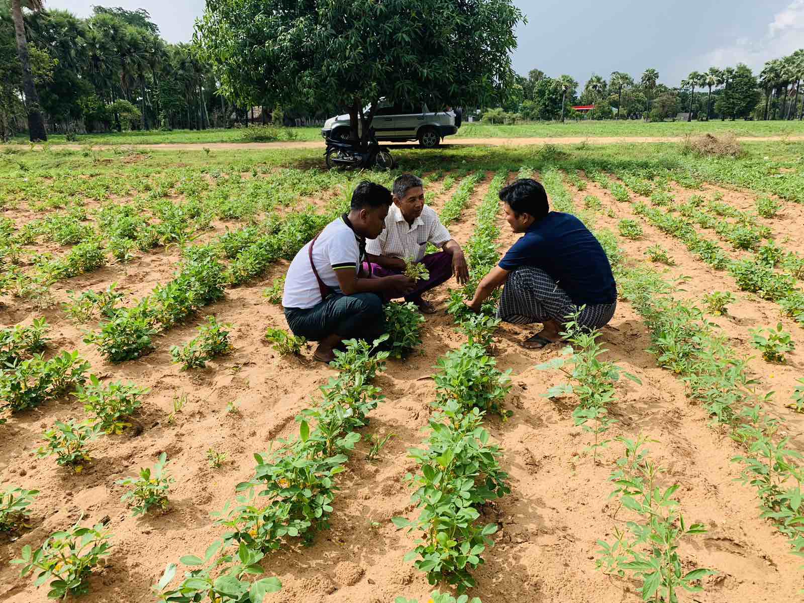 Our Service - Nawarat Myay Company Limited